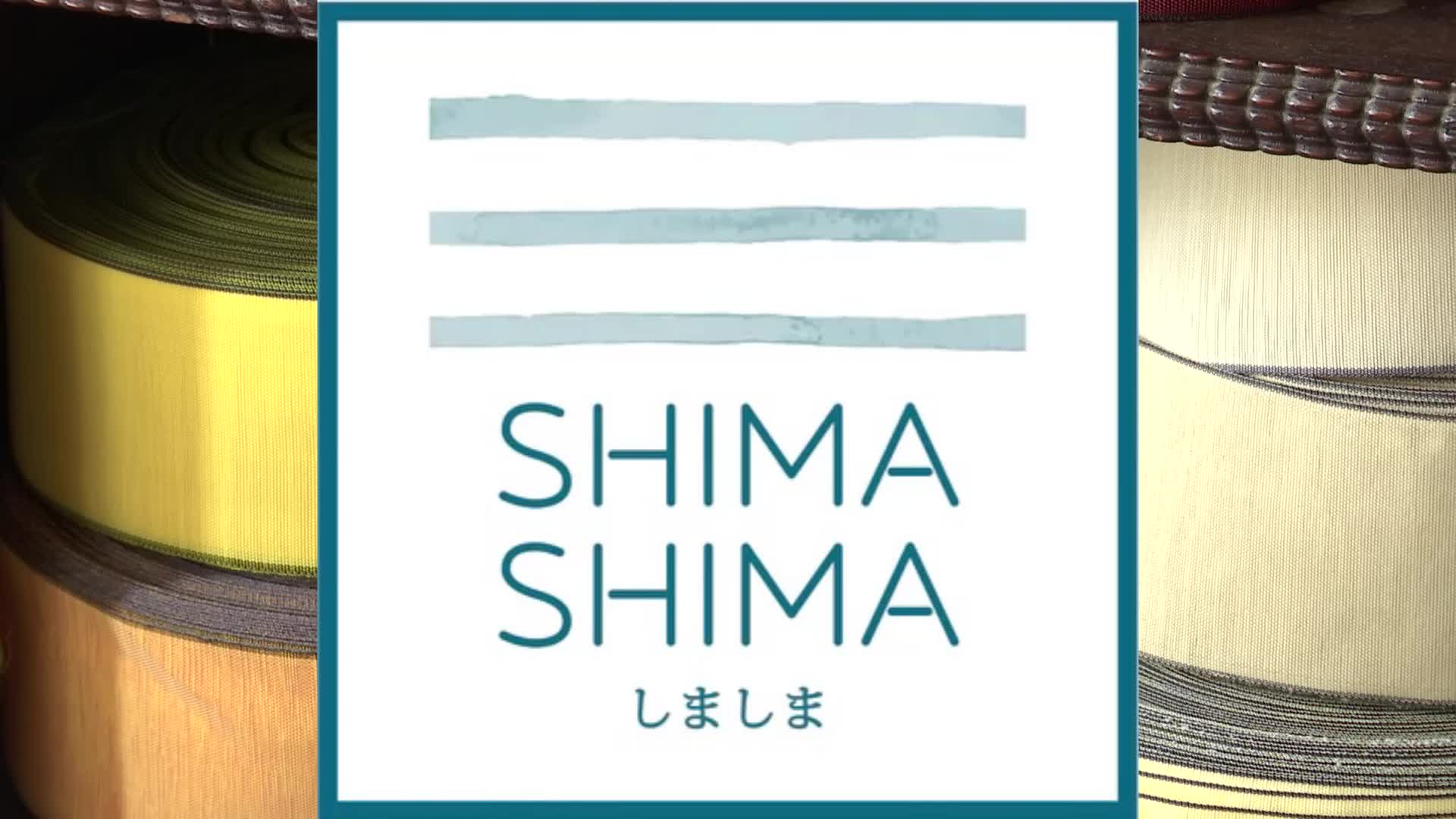 Shima Shima, fashionable handbags made in FLX – WETM – MyTwinTiers.com